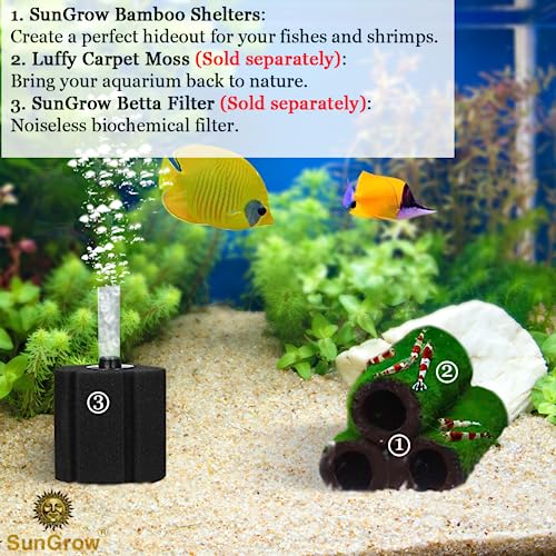 SunGrow Betta & Shrimp Ceramic Shelters, 2.8 x 1.8 x 0.6 Inches, Small Reptile & Lizard Hiding Cave Connected Tubes, Aquarium Decor