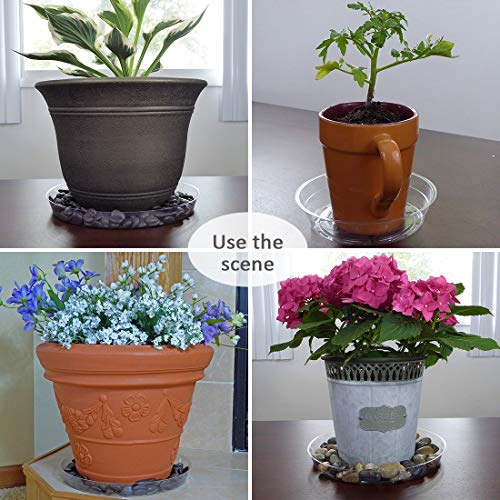 GROWNEER 15 Pack of 6, 8, 10 Inches Clear Plant Saucers Flower Pot Trays, with 15 Pcs Plant Labels, Plastic Plant Saucer Drip Trays for Indoor Outdoor Plants Garden