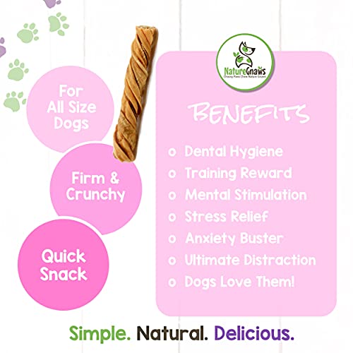 Nature Gnaws Tripe Twists for Dogs - Premium Natural Beef Sticks - Simple Single Ingredient Crunchy Dog Chew Treats - Rawhide Free 10 Count (Pack of 1)