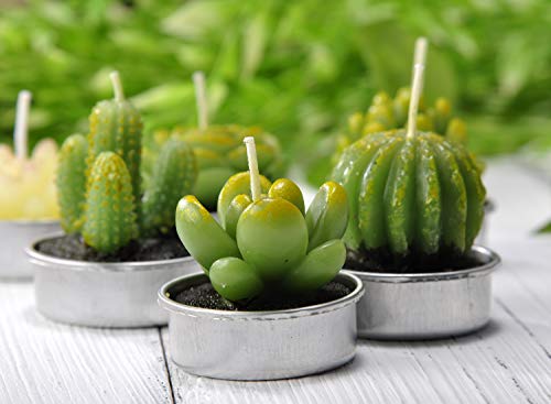 LA BELLEFÉE Tea lights Candles Gift Set, Cactus Terrarium Candle Delicate Succulent Handmade Cute Small Candles for Home Plant Gifts, Party Wedding Mothers Day Valentines Day Gifts Decoration(6 Packs)