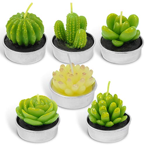 LA BELLEFÉE Tea lights Candles Gift Set, Cactus Terrarium Candle Delicate Succulent Handmade Cute Small Candles for Home Plant Gifts, Party Wedding Mothers Day Valentines Day Gifts Decoration(6 Packs)