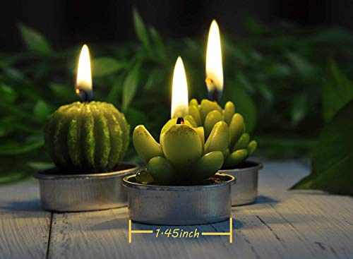 LA BELLEFÉE Tea lights Candles Gift Set, Cactus Terrarium Candle Delicate Succulent Handmade Cute Small Candles for Home Plant Gifts, Party Wedding Mothers Day Valentines Day Gifts Decoration(6 Packs)