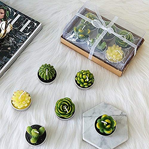 LA BELLEFÉE Tea lights Candles Gift Set, Cactus Terrarium Candle Delicate Succulent Handmade Cute Small Candles for Home Plant Gifts, Party Wedding Mothers Day Valentines Day Gifts Decoration(6 Packs)