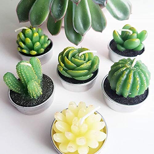 LA BELLEFÉE Tea lights Candles Gift Set, Cactus Terrarium Candle Delicate Succulent Handmade Cute Small Candles for Home Plant Gifts, Party Wedding Mothers Day Valentines Day Gifts Decoration(6 Packs)