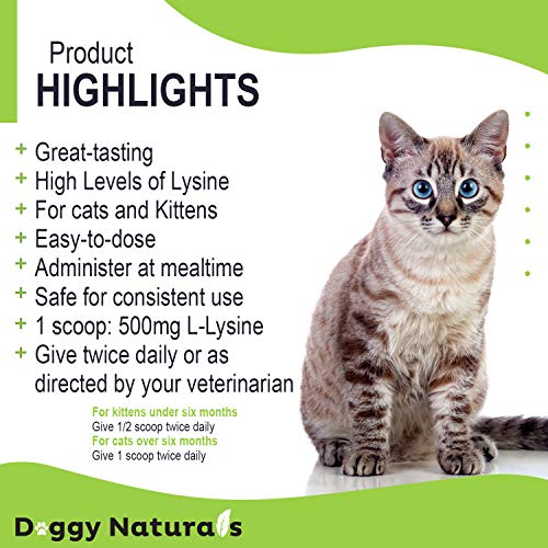 Trulysine L-Lysine for Cats Immune Support Oral Powder 4oz/100g - Cats & Kittens of All Age, Sneezing, Runny Nose Squinting, Watery Eyes - Fish & Poultry Flavor (U.S.A)(100 Grams ( 500mg / Scoop))