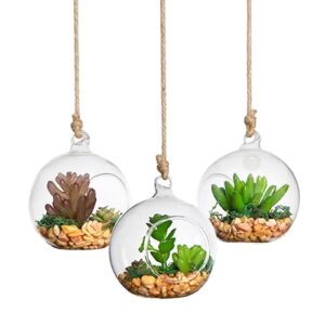 sungrow 3 hanging glass terrariums by spherical air plant orb, handmade, heat-resistant glass, create refreshing atmosphere in terrace garden