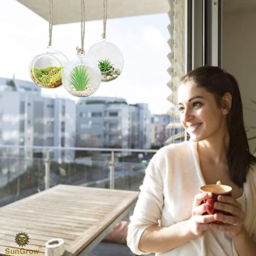 SunGrow 3 Hanging Glass Terrariums by Spherical Air Plant Orb, Handmade, Heat-Resistant Glass, Create Refreshing Atmosphere in Terrace Garden