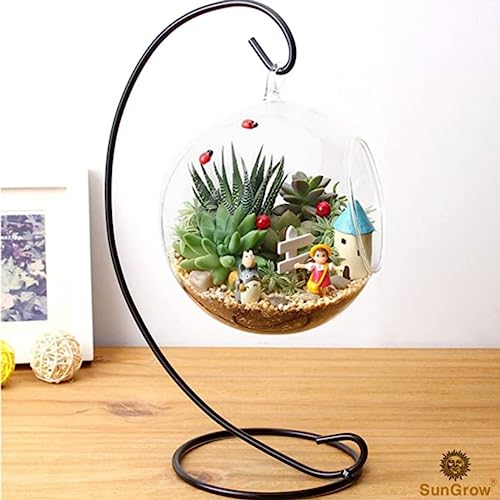 SunGrow 3 Hanging Glass Terrariums by Spherical Air Plant Orb, Handmade, Heat-Resistant Glass, Create Refreshing Atmosphere in Terrace Garden