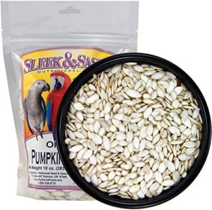 sleek & sassy nutritional diet oregon pumpkin seeds bird treat (10 oz.)