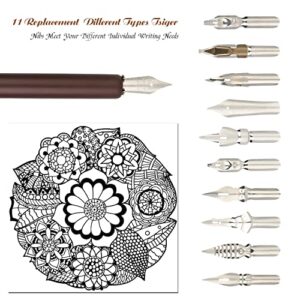 hhhouu Calligraphy Set for Beginners Quill Pen and Ink Set Fancy Pens with Black Ink and 11 Nibs for Lettering,Drawing, Journaling, Signing, Invitation HO-Q-301