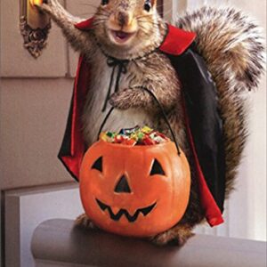 Avanti, Squirrel Trick Or Treating