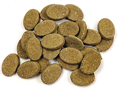 Oxbow Animal Health Natural Science Digestive Support for Small Animals, 60 Wafers, Made in The USA (3 Pack)