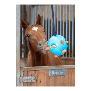 Shires Horse Carrot Ball Toy