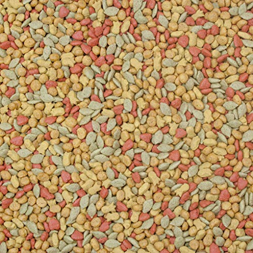 Higgins Intune Natural Conure and Cockatiel Bird Food 2. lb