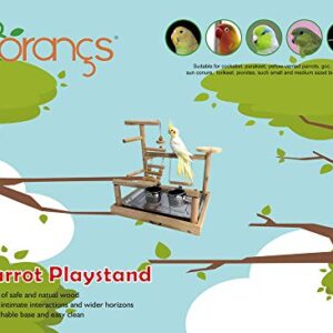 Borangs Parrots Playstand Bird Playground Wood Perch Training Stand Cockatiel Playpen Ladders Birds Swing Wood Gym Tabletop with Feeder Cups Toys Exercise Play(Design B)