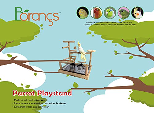 Borangs Parrots Playstand Bird Playground Wood Perch Training Stand Cockatiel Playpen Ladders Birds Swing Wood Gym Tabletop with Feeder Cups Toys Exercise Play(Design B)