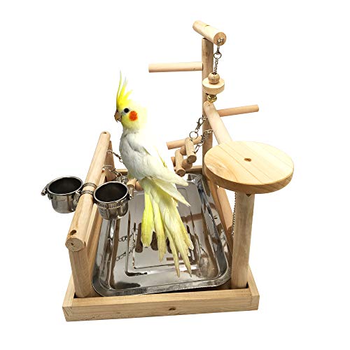 Borangs Parrots Playstand Bird Playground Wood Perch Training Stand Cockatiel Playpen Ladders Birds Swing Wood Gym Tabletop with Feeder Cups Toys Exercise Play(Design B)