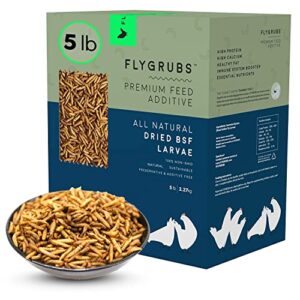 flygrubs superior to dried mealworms for chickens (5lb) - 85x more calcium than live mealworms - non-gmo chicken feed - bsfl treats for hens, ducks, turkeys, wild birds, turtles, quails