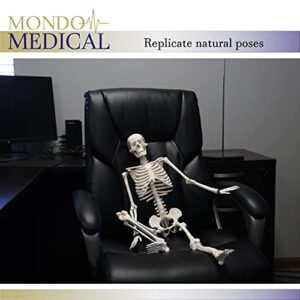 MonMed Medical Skeleton Model, 33.5in Small Human Figure for Anatomy, Art, Halloween