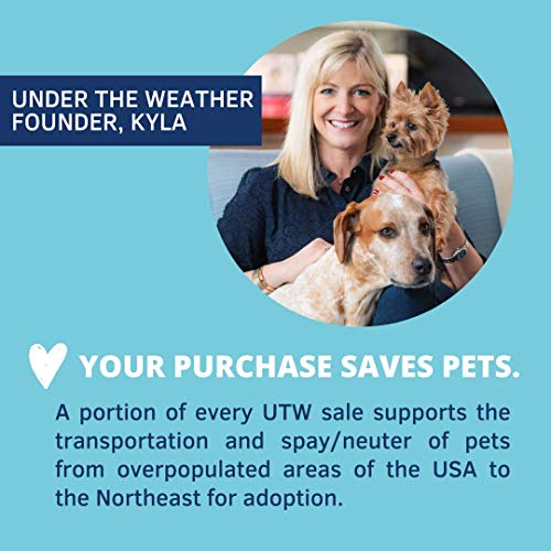 Under the Weather Bland Diet for Dogs | Easy to Digest for Sick Dogs | Contains Electrolytes, Gluten-Free, All Natural | Freeze-Dried 100% Human Grade Meats | 1 Pack - Chicken, Rice - 6oz