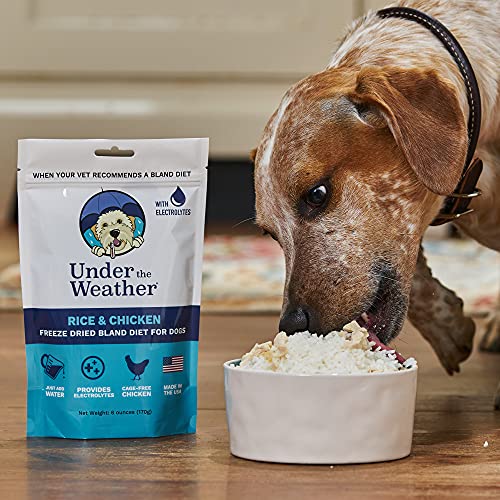 Under the Weather Bland Diet for Dogs | Easy to Digest for Sick Dogs | Contains Electrolytes, Gluten-Free, All Natural | Freeze-Dried 100% Human Grade Meats | 1 Pack - Chicken, Rice - 6oz