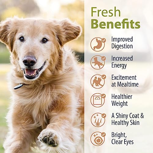 JustFoodForDogs Pantry Fresh Dog Food, Human Grade Beef & Russet Potato (12 Pack)