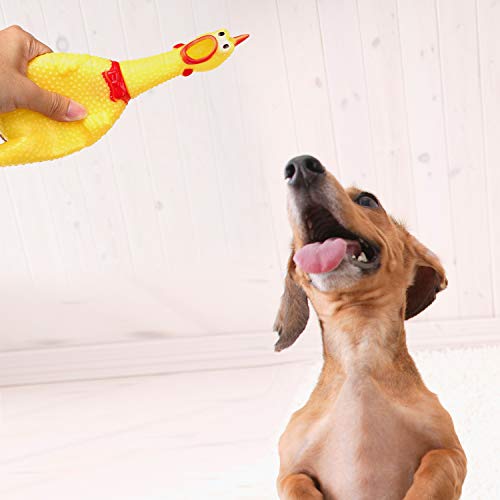 LEGEND SANDY Screaming Chicken Dog Toys,Yellow Rubber Squaking Chicken Toy Novelty and Durable Rubber Chicken for Dogs,Rubber Chickens Value 3 Pack