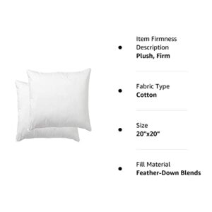 Danmitex Square Throw Pillow Insert, Decorative Pillow Stuffer, Down and Feather Filled, Cotton Fabric (White), 20x20, Set of 2, Suitable for Home, Bed