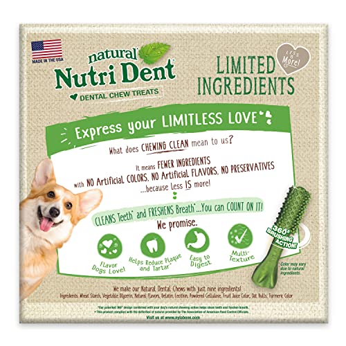 Nylabone Nutri Dent Dog Dental Treats - Natural Dog Teeth Cleaning & Breath Freshener - Dental Treats for Dogs - Fresh Breath Flavor, Mini (160 Count)