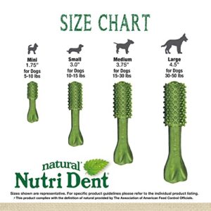 Nylabone Nutri Dent Dog Dental Treats - Natural Dog Teeth Cleaning & Breath Freshener - Dental Treats for Dogs - Fresh Breath Flavor, Mini (160 Count)