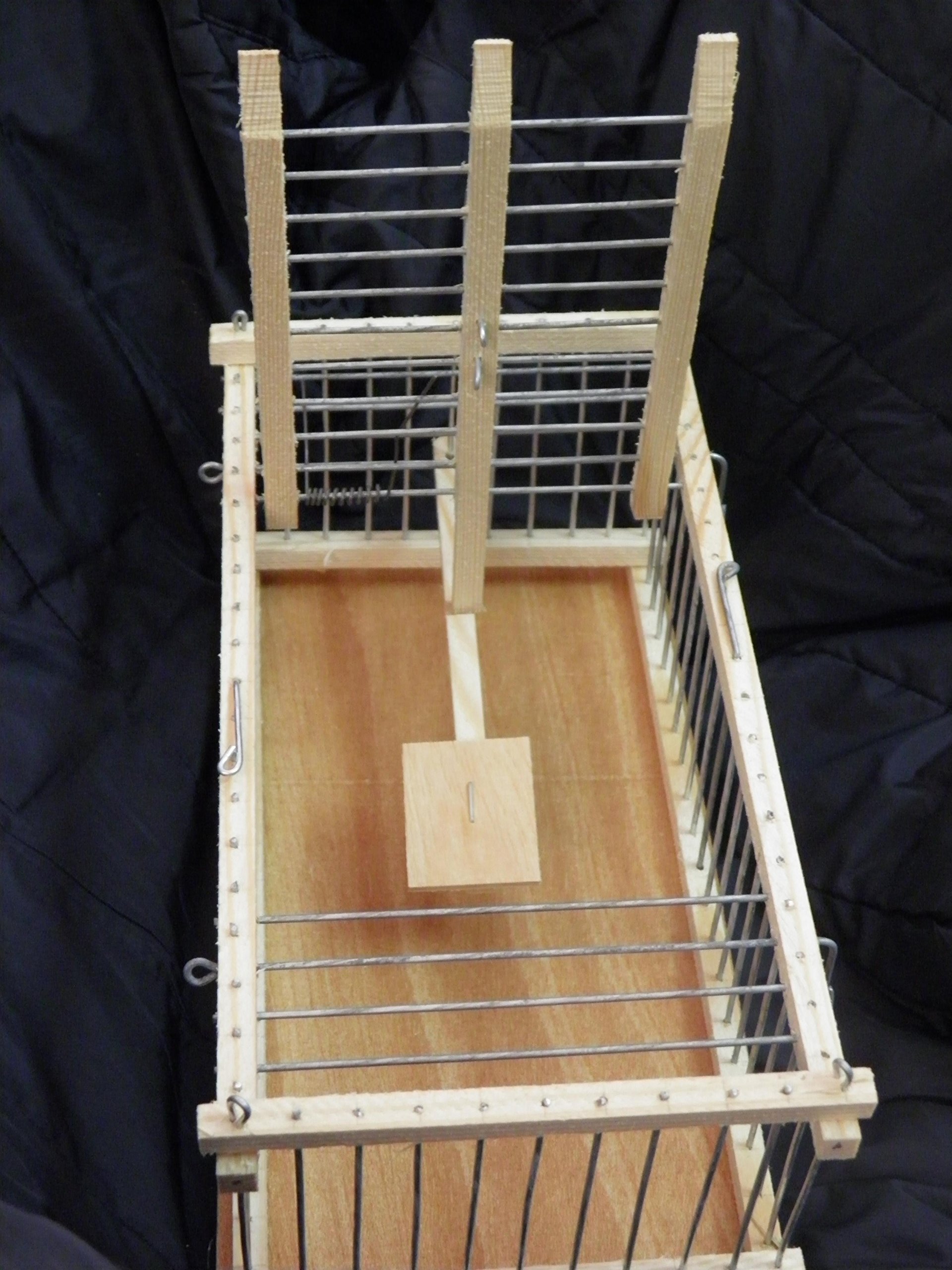 Set of Two Bird Trap Cage : : Can be Used as Transport Cage