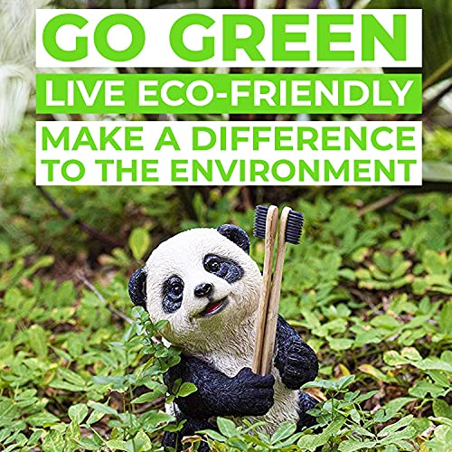 EveEco 4 Count I Bamboo Toothbrush I Soft Bristles Best for Sensitive Gums I Charcoal I Vegan I Natural Wood I BPA Fee I Recyclable I Compostable I Biodegradable | Environmentally Friendly