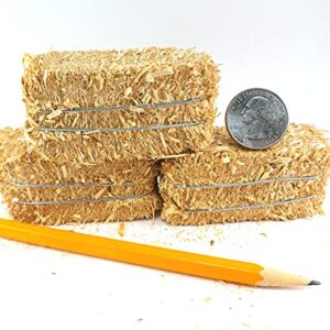 Meyer Imports Mini Hay Bales - Small - (Pack of 3) Small Decorative Hay – for Craft/Dollhouse/Farm/Halloween/Table Decoration - 2.5 x 1 Inches Each