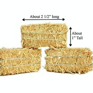 Meyer Imports Mini Hay Bales - Small - (Pack of 3) Small Decorative Hay – for Craft/Dollhouse/Farm/Halloween/Table Decoration - 2.5 x 1 Inches Each