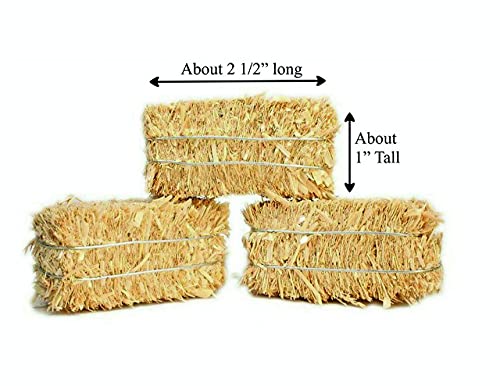 Meyer Imports Mini Hay Bales - Small - (Pack of 3) Small Decorative Hay – for Craft/Dollhouse/Farm/Halloween/Table Decoration - 2.5 x 1 Inches Each