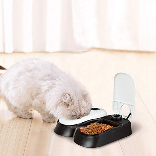 PAWISE Automatic Pet Feeder for Dogs and Cats, 1.5 Cup Food Dispenser Feeder with 48-Hour Timer - Single