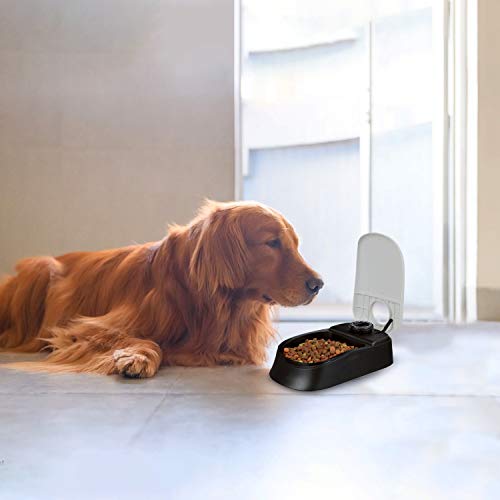 PAWISE Automatic Pet Feeder for Dogs and Cats, 1.5 Cup Food Dispenser Feeder with 48-Hour Timer - Single