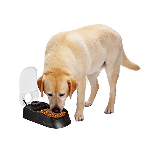 PAWISE Automatic Pet Feeder for Dogs and Cats, 1.5 Cup Food Dispenser Feeder with 48-Hour Timer - Single