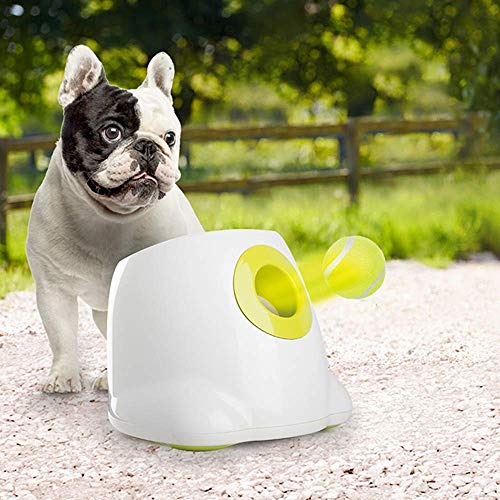 ALL FOR PAWS Dog Tennis Balls for Dogs, Great for Mini Ball Launcher, 6 Pack 2 Inch Tennis Balls