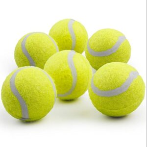 ALL FOR PAWS Dog Tennis Balls for Dogs, Great for Mini Ball Launcher, 6 Pack 2 Inch Tennis Balls