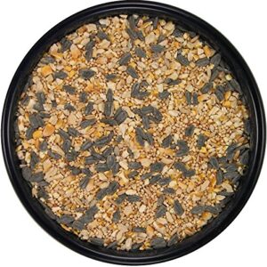 Premium Wild Bird Food (5 lbs.)