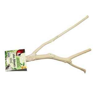 multi-branch perch (large) - durable natural climbing branch perch cage accessory - sugar gliders, squirrels, prairie dogs, degus, marmosets, monkeys, parrots, birds, rats, reptiles, amphibians