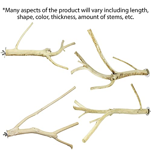 Multi-Branch Perch (Large) - Durable Natural Climbing Branch Perch Cage Accessory - Sugar Gliders, Squirrels, Prairie Dogs, Degus, Marmosets, Monkeys, Parrots, Birds, Rats, Reptiles, Amphibians