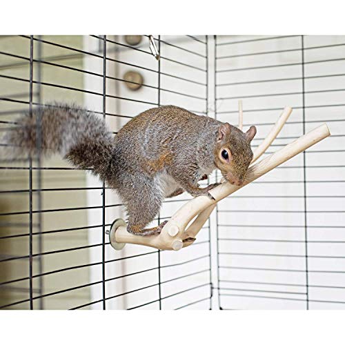 Multi-Branch Perch (Large) - Durable Natural Climbing Branch Perch Cage Accessory - Sugar Gliders, Squirrels, Prairie Dogs, Degus, Marmosets, Monkeys, Parrots, Birds, Rats, Reptiles, Amphibians