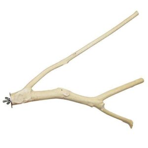 Multi-Branch Perch (Large) - Durable Natural Climbing Branch Perch Cage Accessory - Sugar Gliders, Squirrels, Prairie Dogs, Degus, Marmosets, Monkeys, Parrots, Birds, Rats, Reptiles, Amphibians