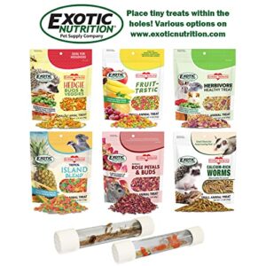 Exotic Nutrition Rolling Forage Cylinder - Fun & Unique Forage Toy - Sugar Glider, Hedgehog, Squirrel, Chinchilla, Prairie Dog, Degu, Chicken, Bird, Skunk, Rabbit, Hamster, and Other Small Animals