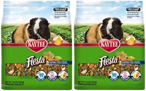 kaytee fiesta max guinea pig 4.5lb