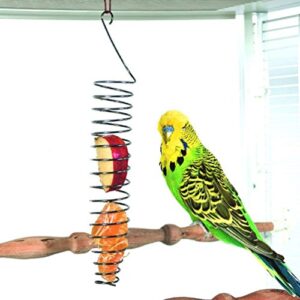 Budgie Bird Toy Skewer Fruit Spear Hanging Holder for Budgie Parakeet Cockatiel Conure African Grey Cockatoo Macaw Cage Food Basket Tool