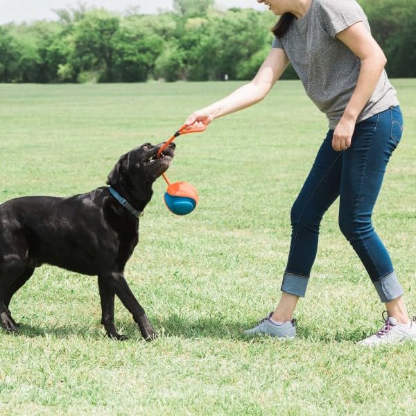 Chuckit! Rope Fetch Dog Toy, Indoor and Outdoor Dog Toy One Size (Pack of 1)