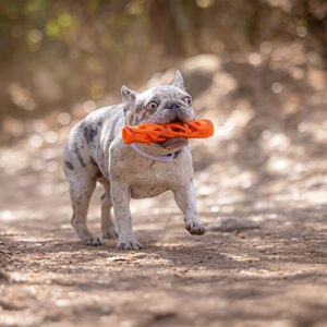 Chuckit Air Fetch Stick Dog Toy, Large, Orange